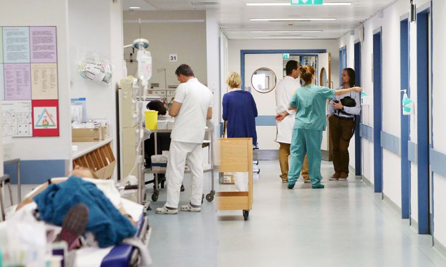 Τομέας Υγείας - Εντομοτεχνική | Απεντομώσεις, Απολυμάνσεις, Μυοκτονίες ...